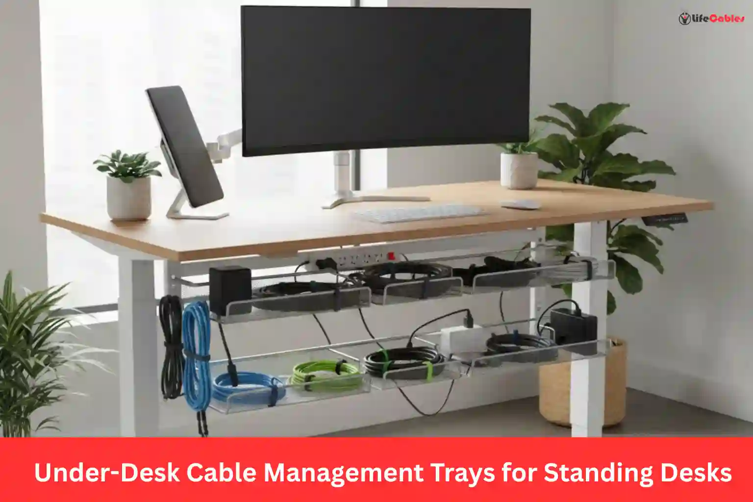 Best Under-Desk Cable Management Trays for Standing Desks (2026 Guide ...