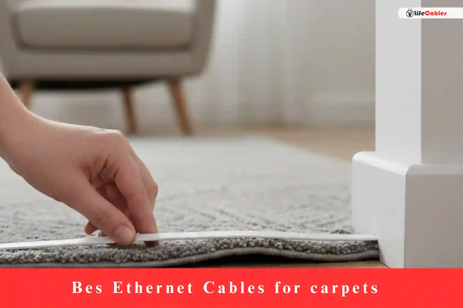 Best Flat Ethernet Cables for running under Rugs and Carpets-2026 Guide ...